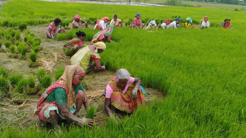 Mato | Rooted in Nepal | Buy Fresh Stay Healthy